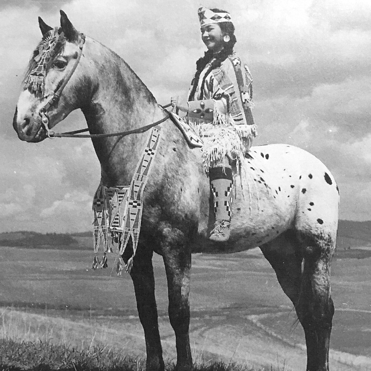 The breed founders: Toby II (1939-1962) – Il primo blog dedicato agli ...